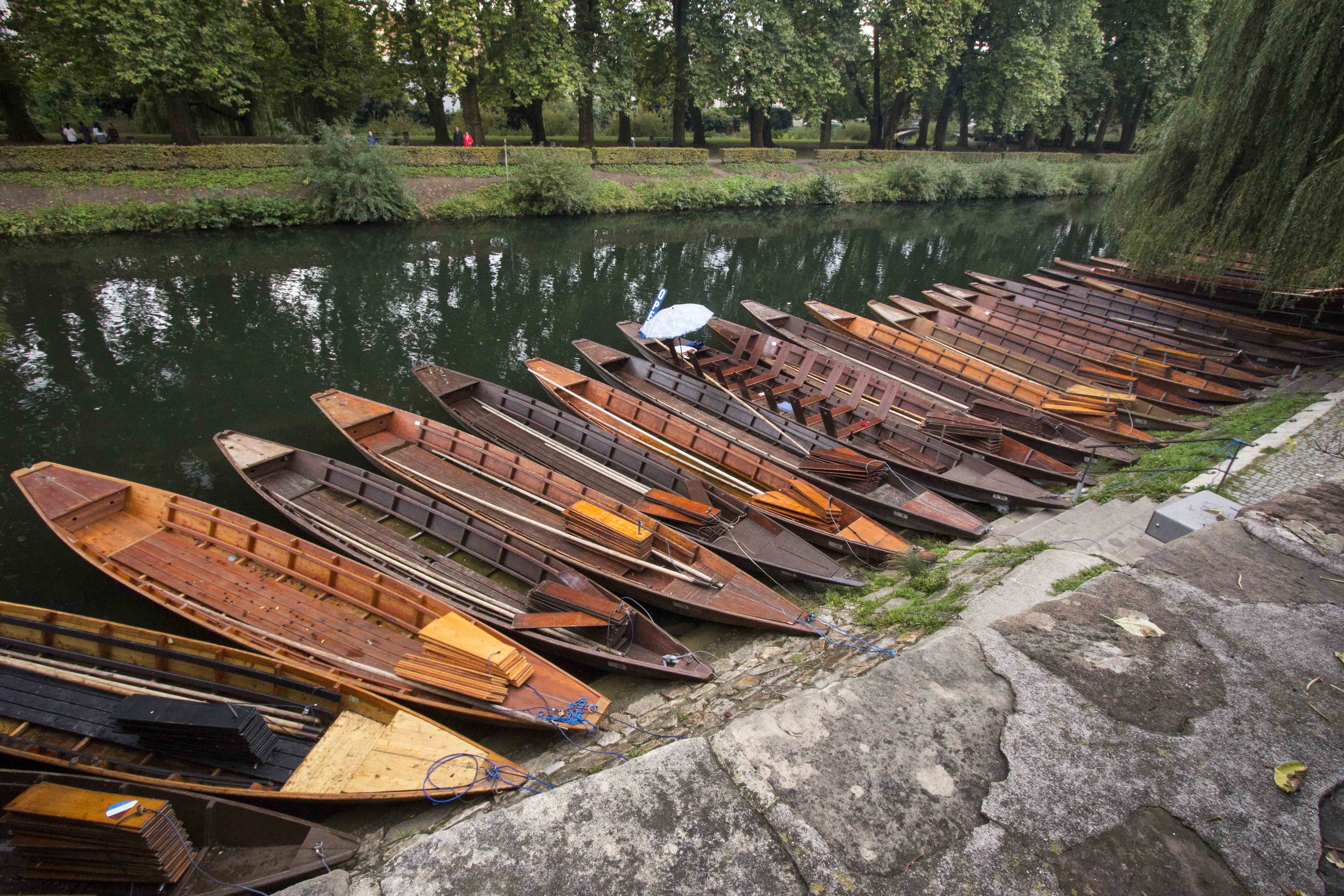 Tübingen Kultur | Tour100 in Tübingen